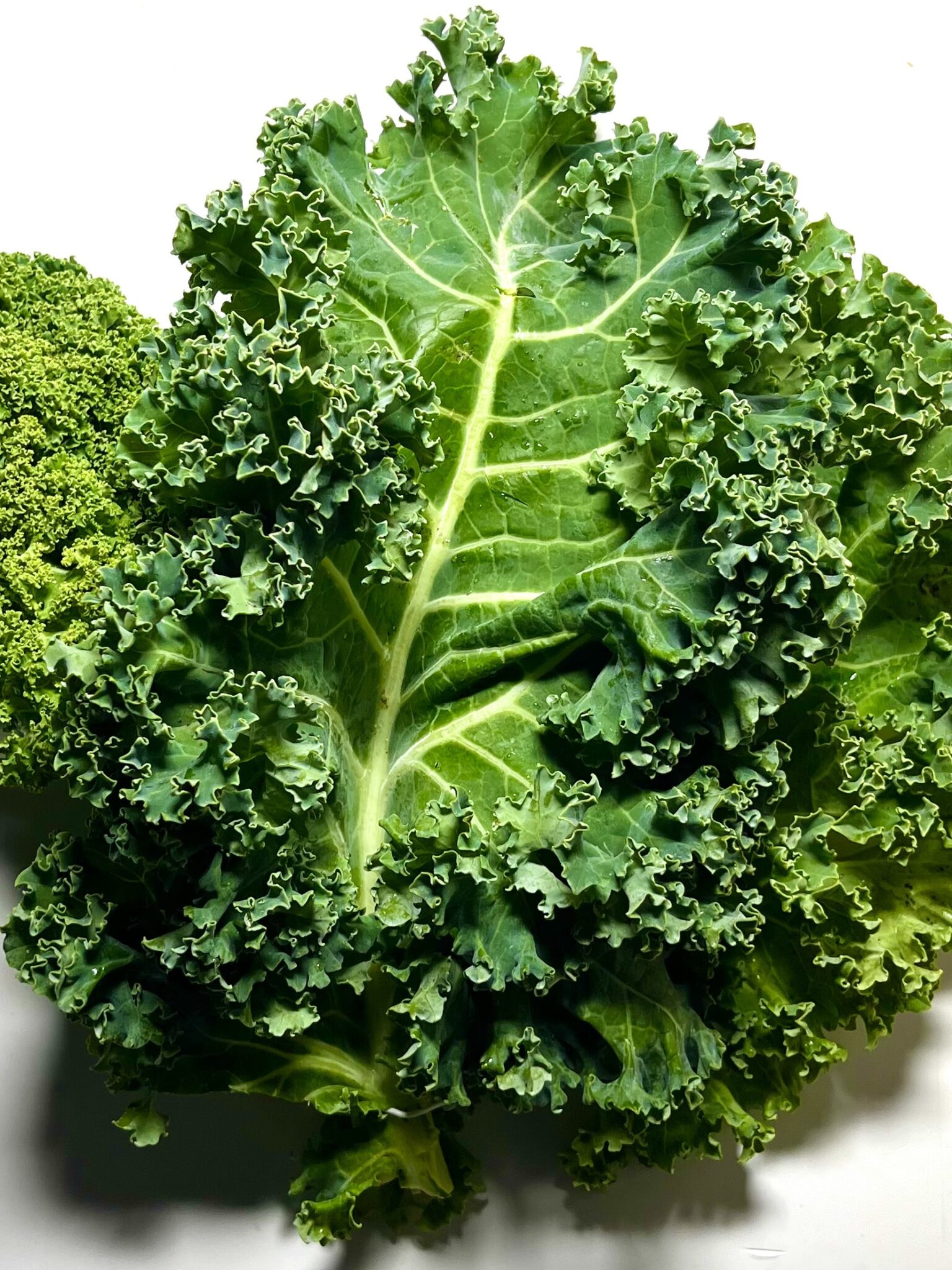 Creamy Kale Saag - Zesty Zahra